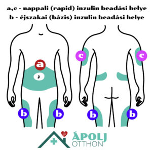 Cukorbetegség – inzulin terápia, inzulin fajták és beadásuk módjai ...